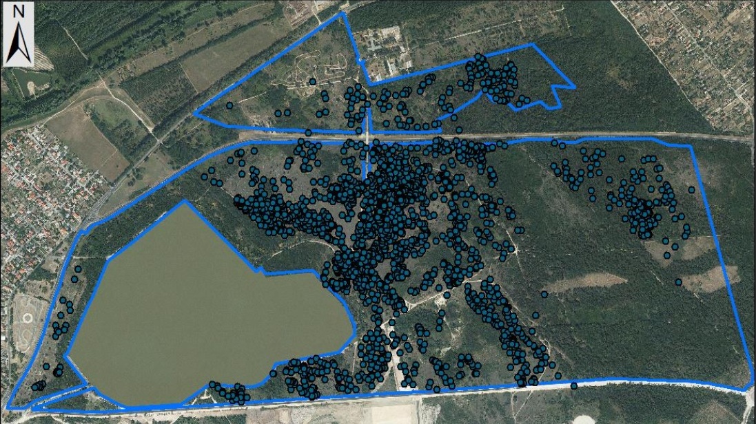 Elvégezték az alapállapot felmérést a Gönyűi-homokvidéken | Grassland