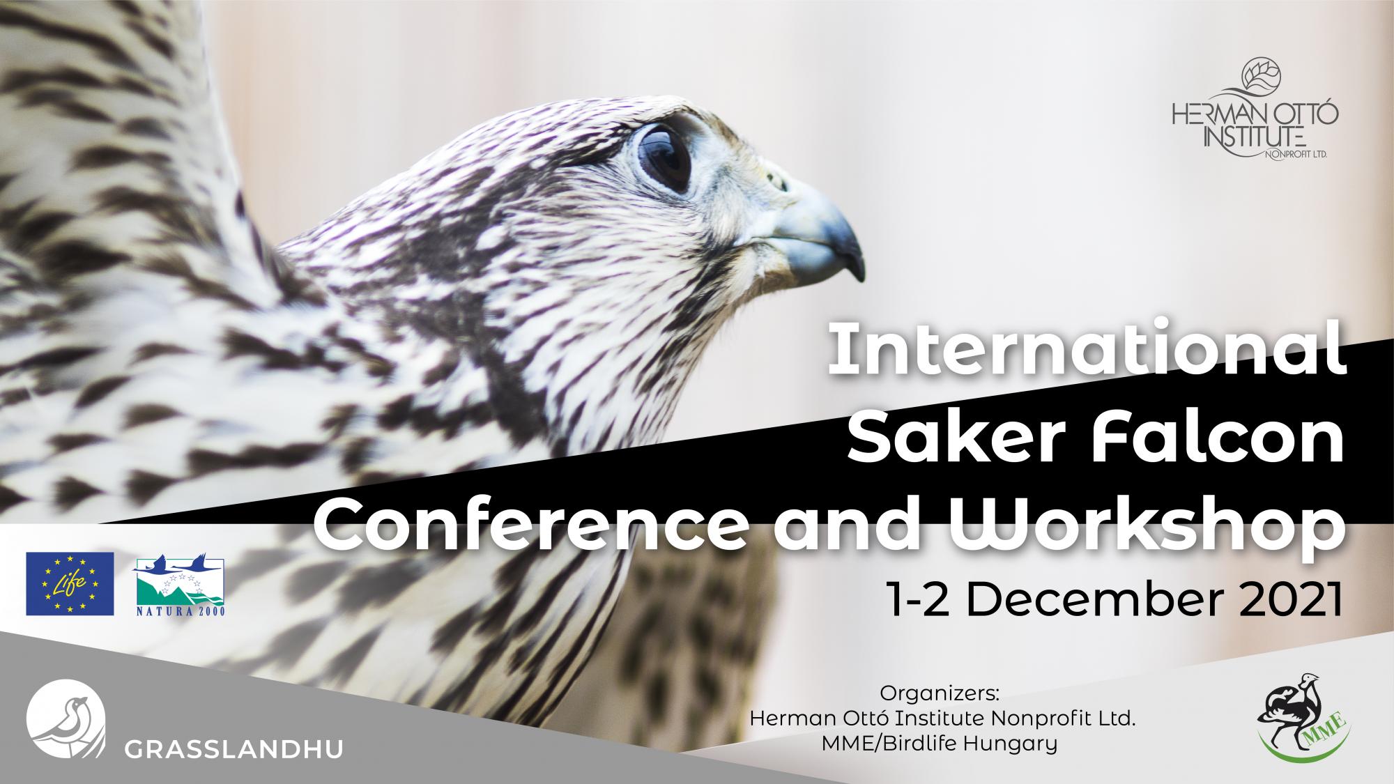 International Saker Falcon Conference and Workshop - Programme and ...